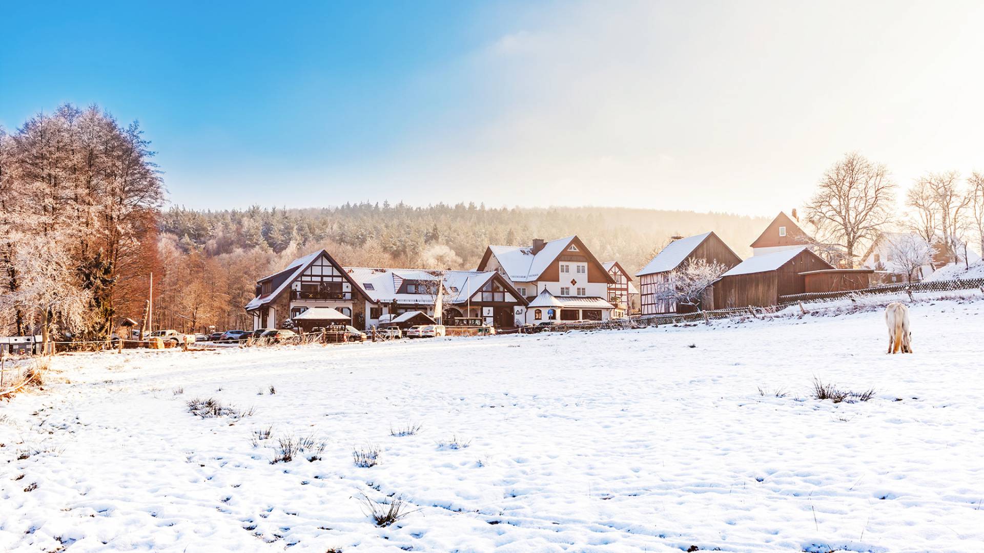 Ihr Landgasthof bei Fulda - Landgasthof Hessenmühle